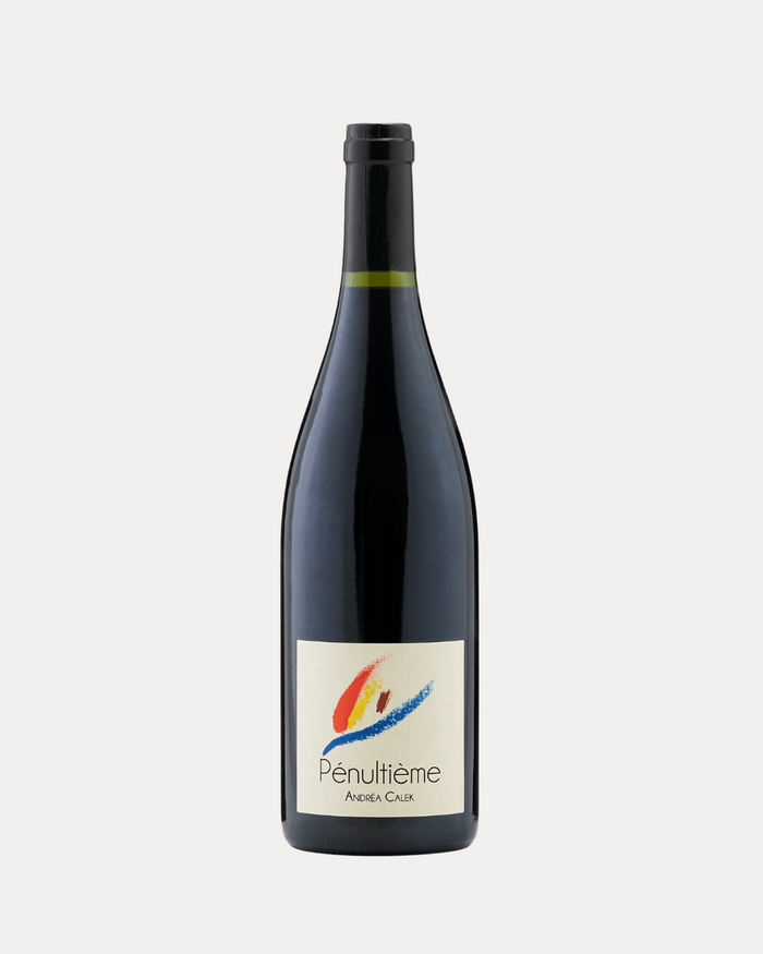 Andrea Calek | (Super)Natural Wine Store Philippines